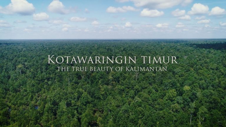 Profile Kabupaten Kotawaringin Timur – DPMPTSP Kotawaringin Timur